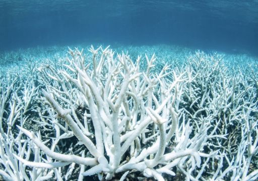 Microfísica de nubes: ¿sabes cómo se forma la lluvia?