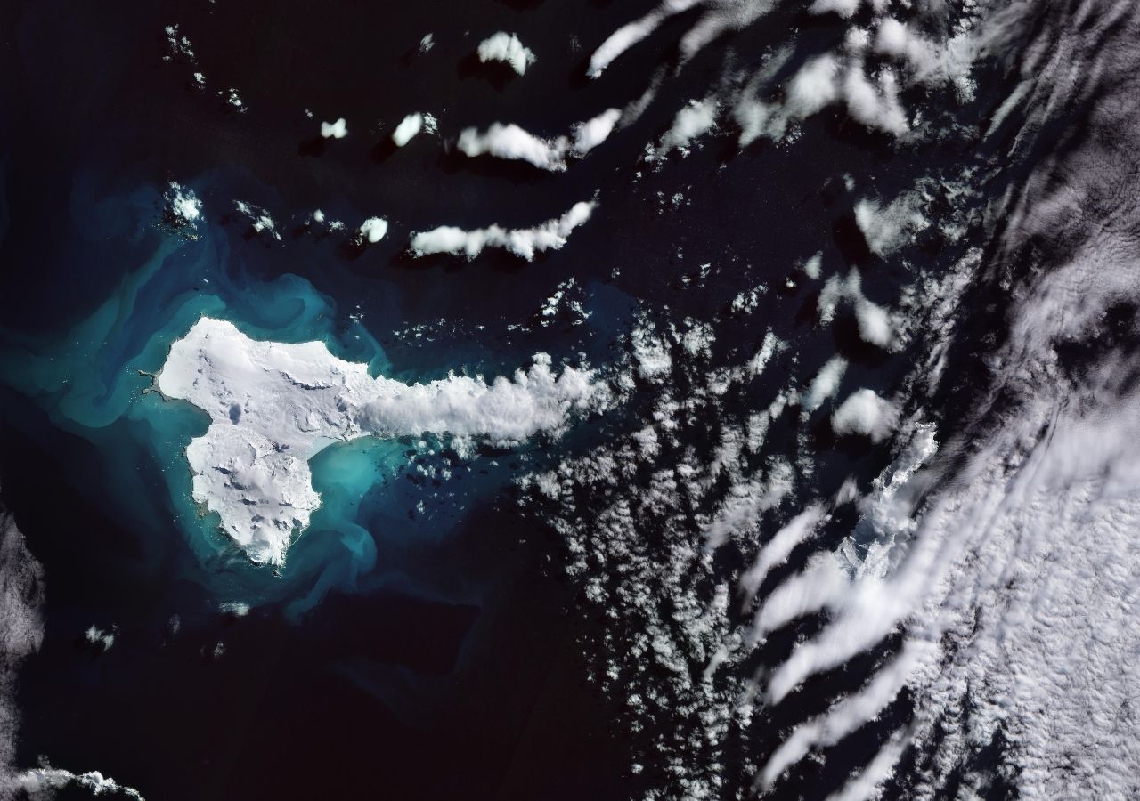 Un paseo por la Isla Elefante, en alta definición y desde la comodidad ...