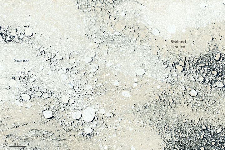 Un tono diferente de hielo: color tostado o bronceado