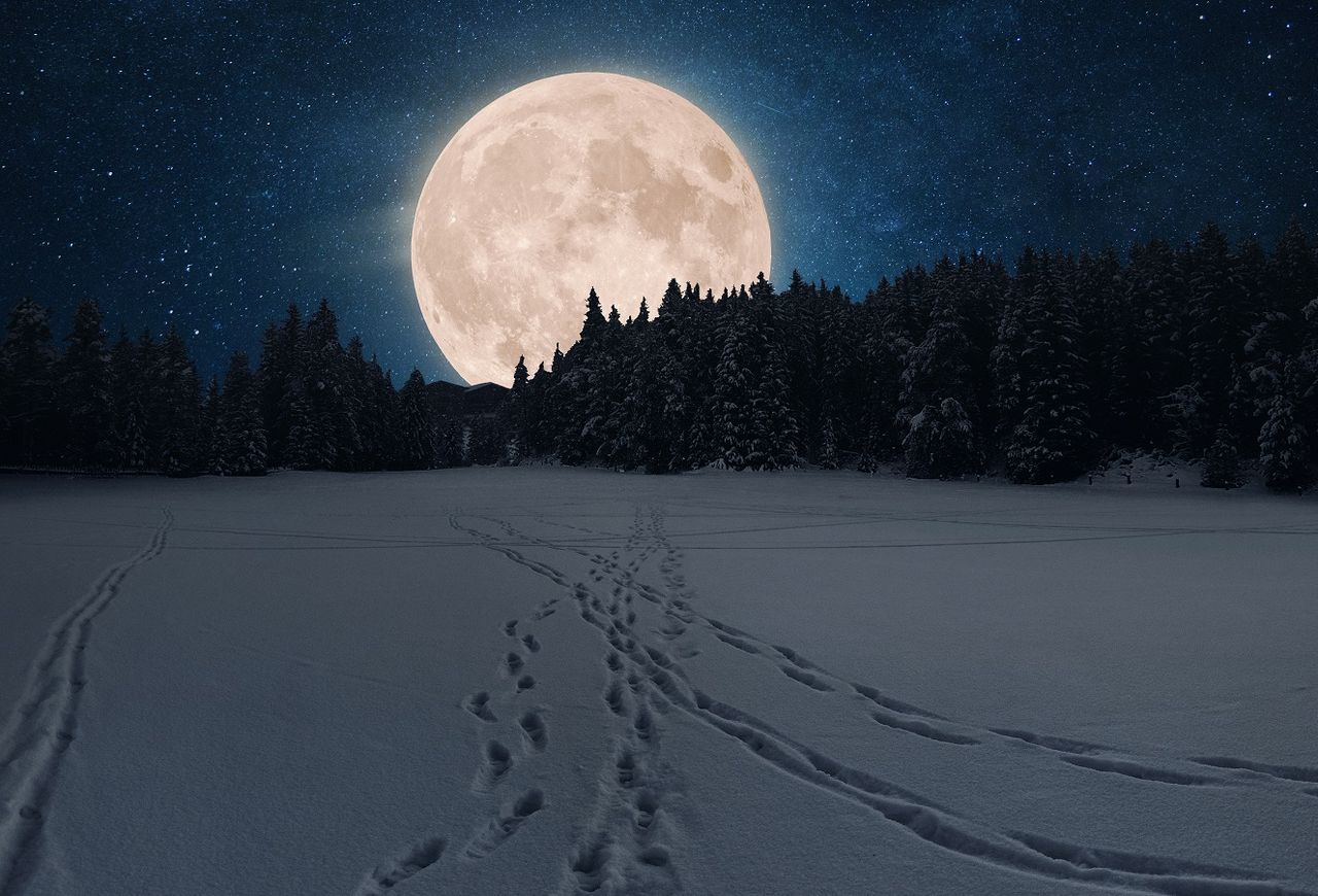 Una "Superluna" illuminerà la Vigilia di Natale 2026: uno spettacolo ...