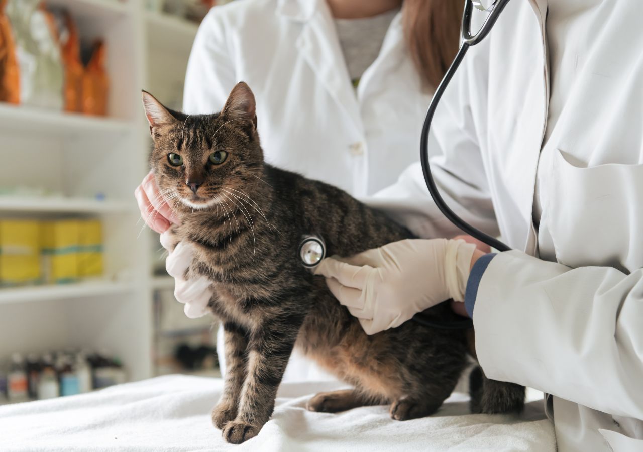 Paislee prince erome checked out the private location they