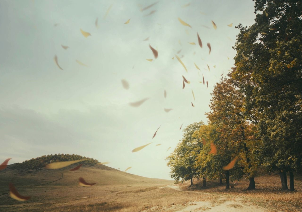 Understanding 'the language' of wind: What is wind and what influences ...