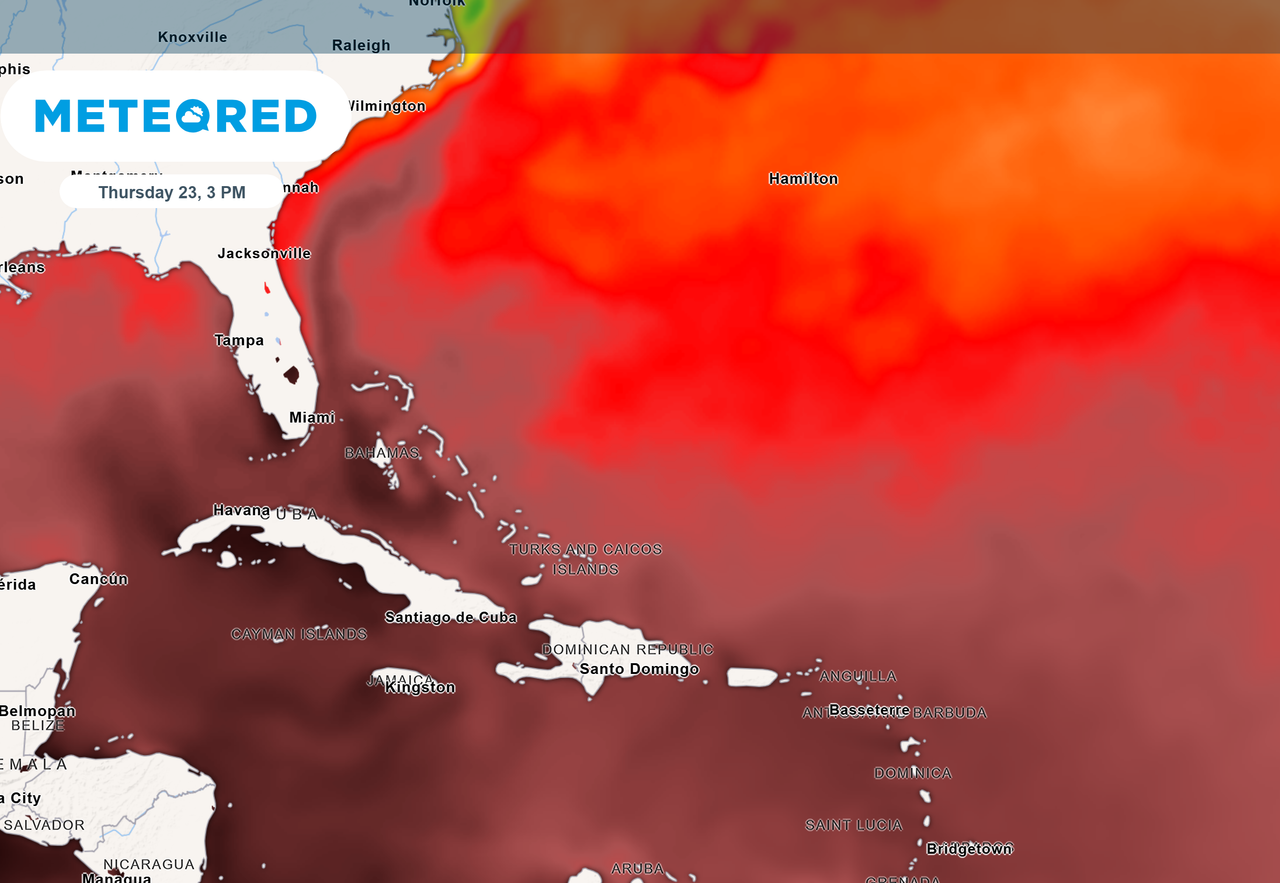Unprecedented Marine Heat Wave Sweeps Tropical Atlantic, Sparking ...
