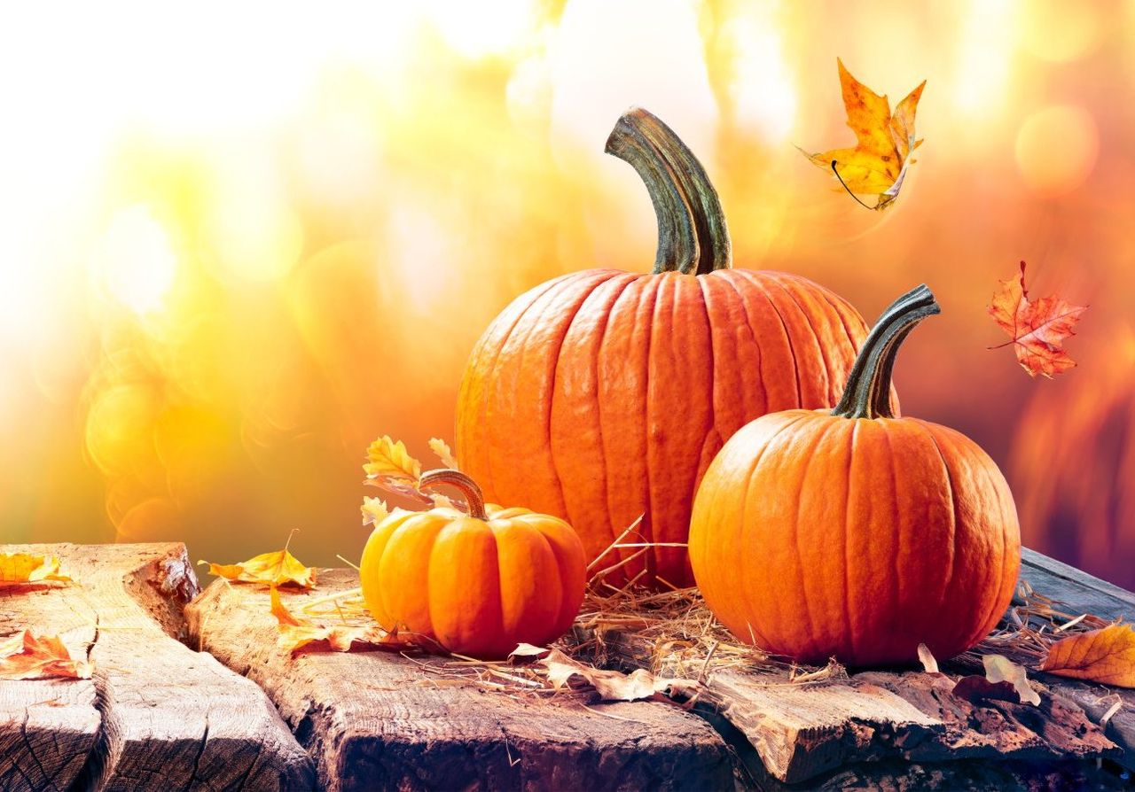 US Forecast for October: Will the second month of fall be the first to ...