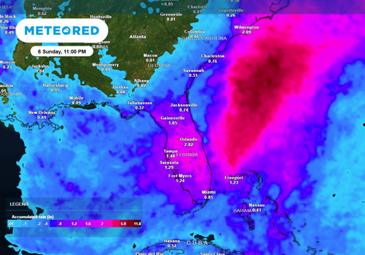 Extreme weather events will be more frequent and severe in 2025 ...