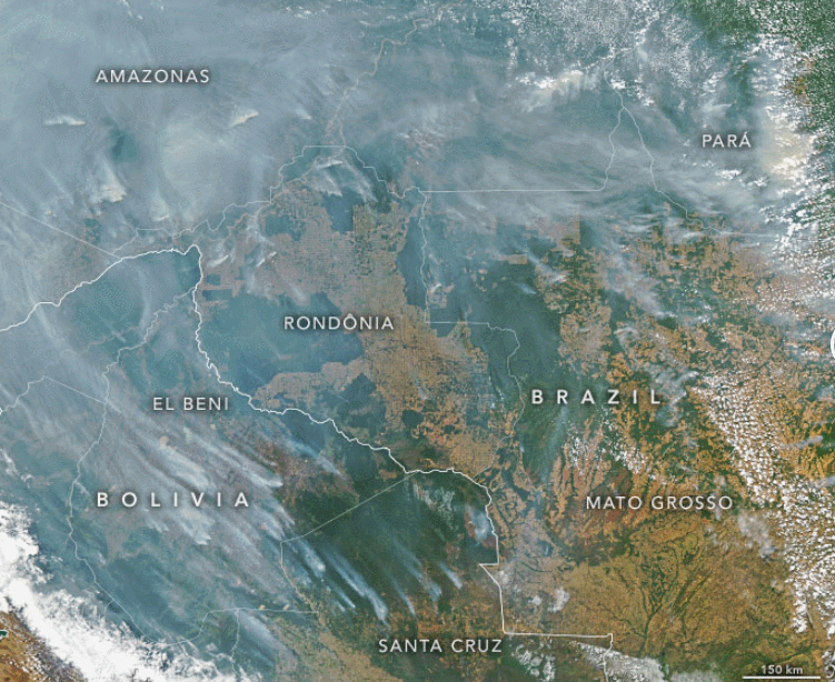 Vastas Nubes De Humos En El Amazonas