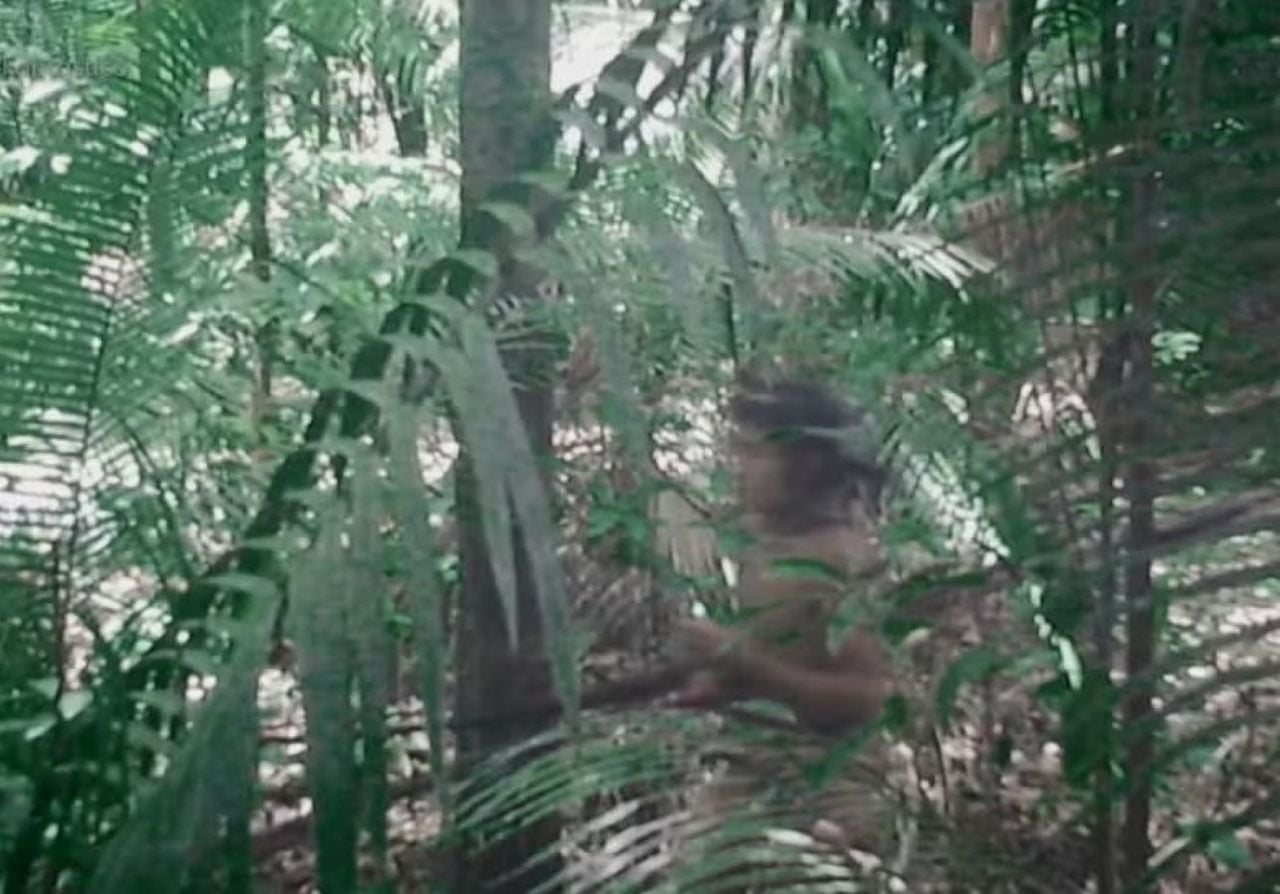 Unpublished images of isolated indigenous people in one of the most ...