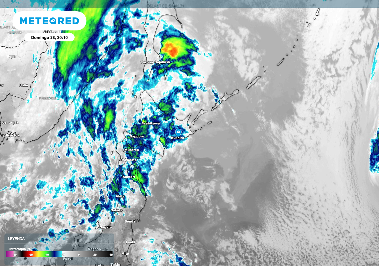 Video viral: intensa tormenta invernal da paso a severa ventisca que ...