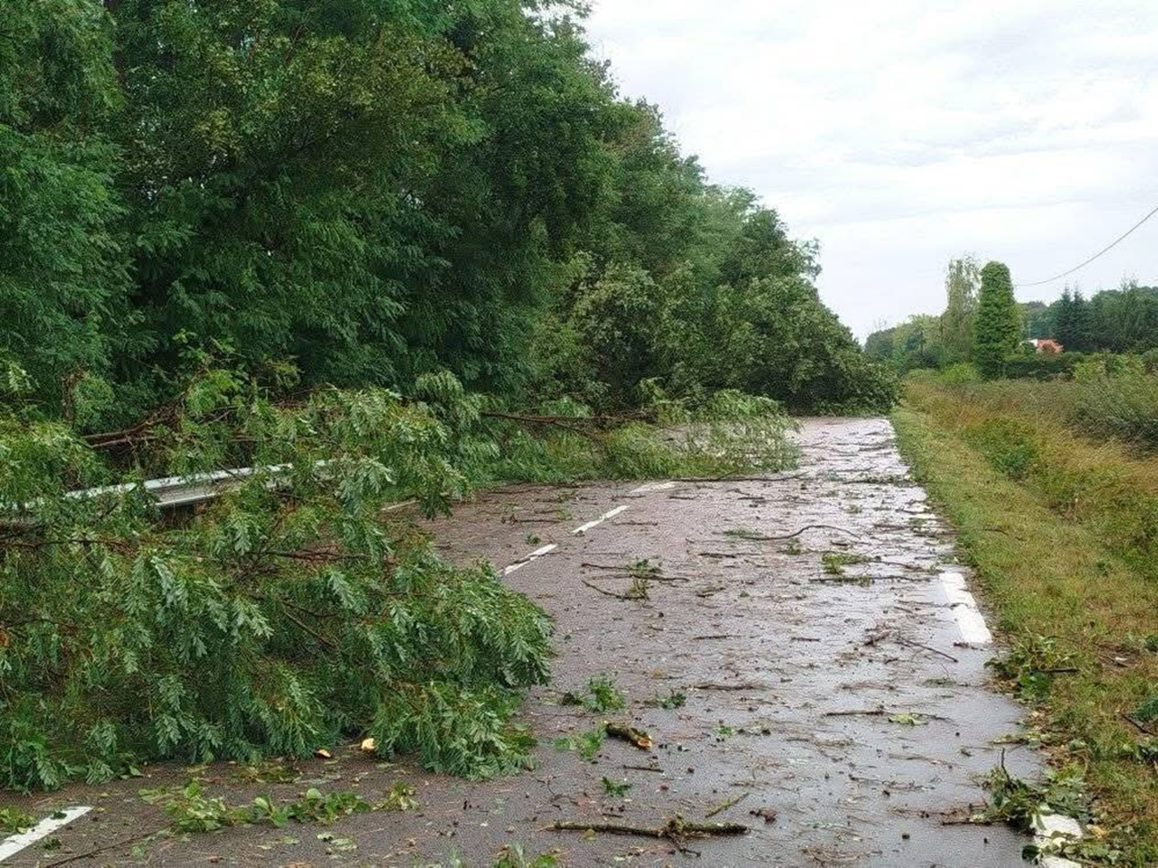 Violents orages : plus de 25.000 éclairs en 24h, des pluies intenses et ...