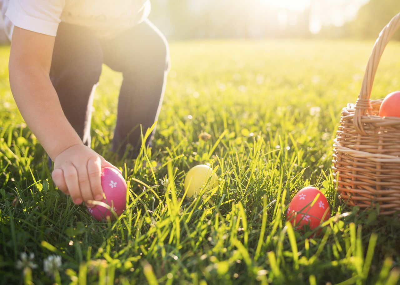 Warm, Sunny, and Springlike: Easter Sunday Brings Near-Perfect Weather ...