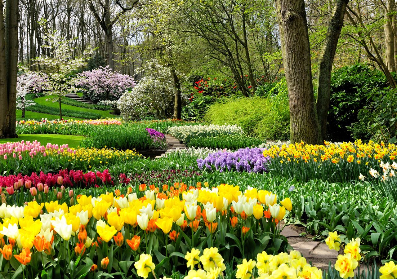 Climate scientists confirm warmest March for Europe