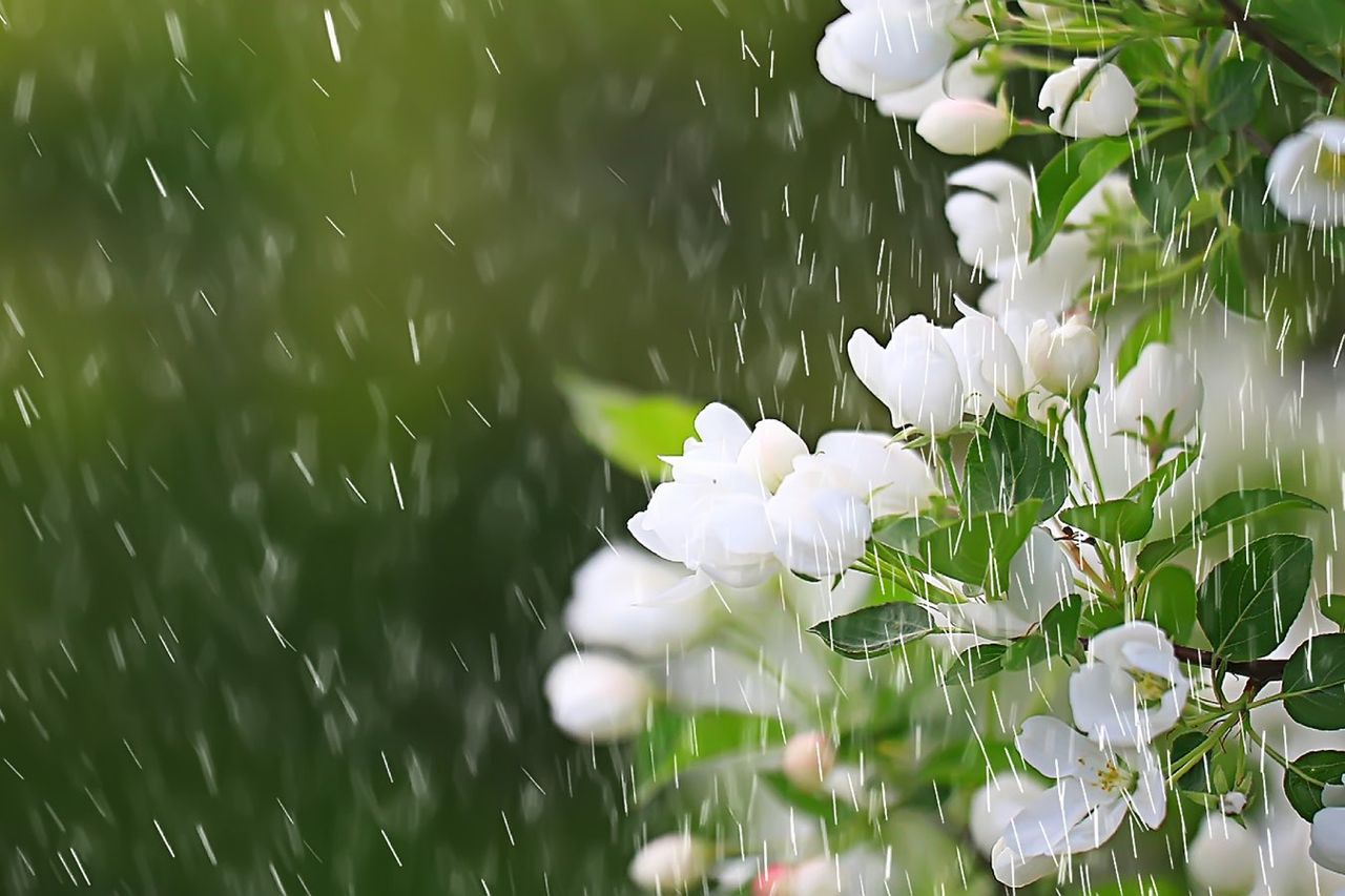 Weather in the US this April: Meteored Predicts the Heat and ...