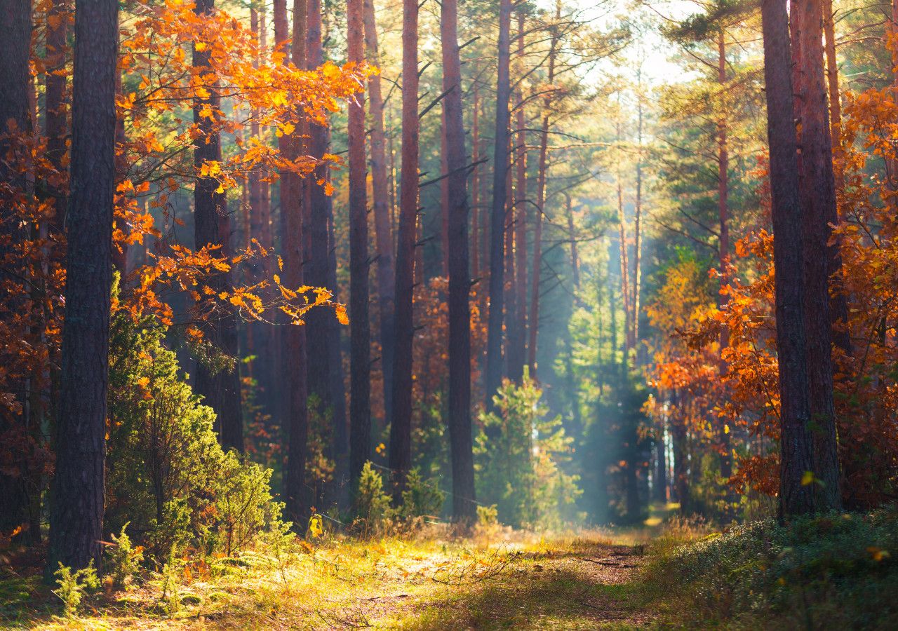 Weather news - Forecasts - yourweather.co.uk