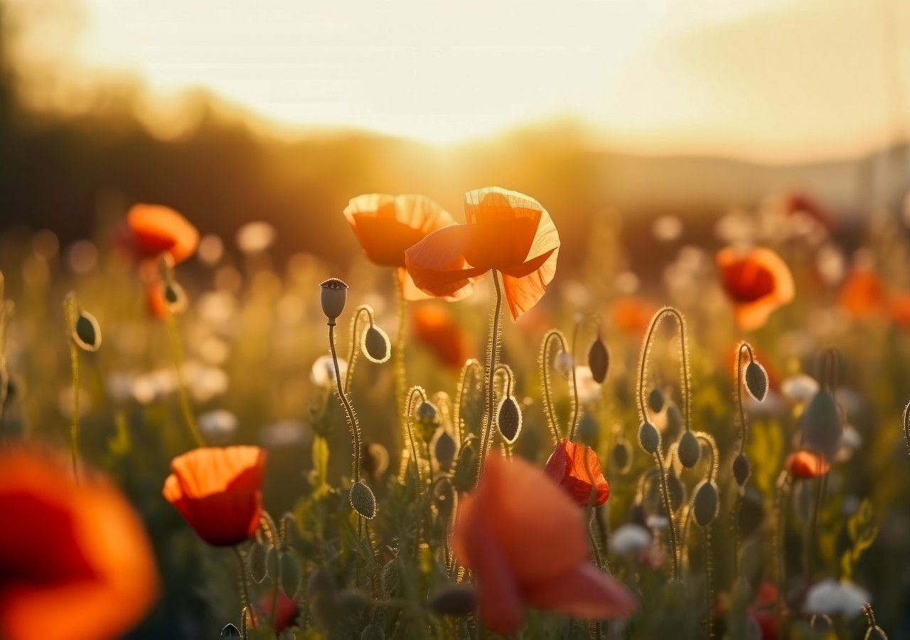 Azores high to bring warm weather and sunshine to UK this weekend, but ...