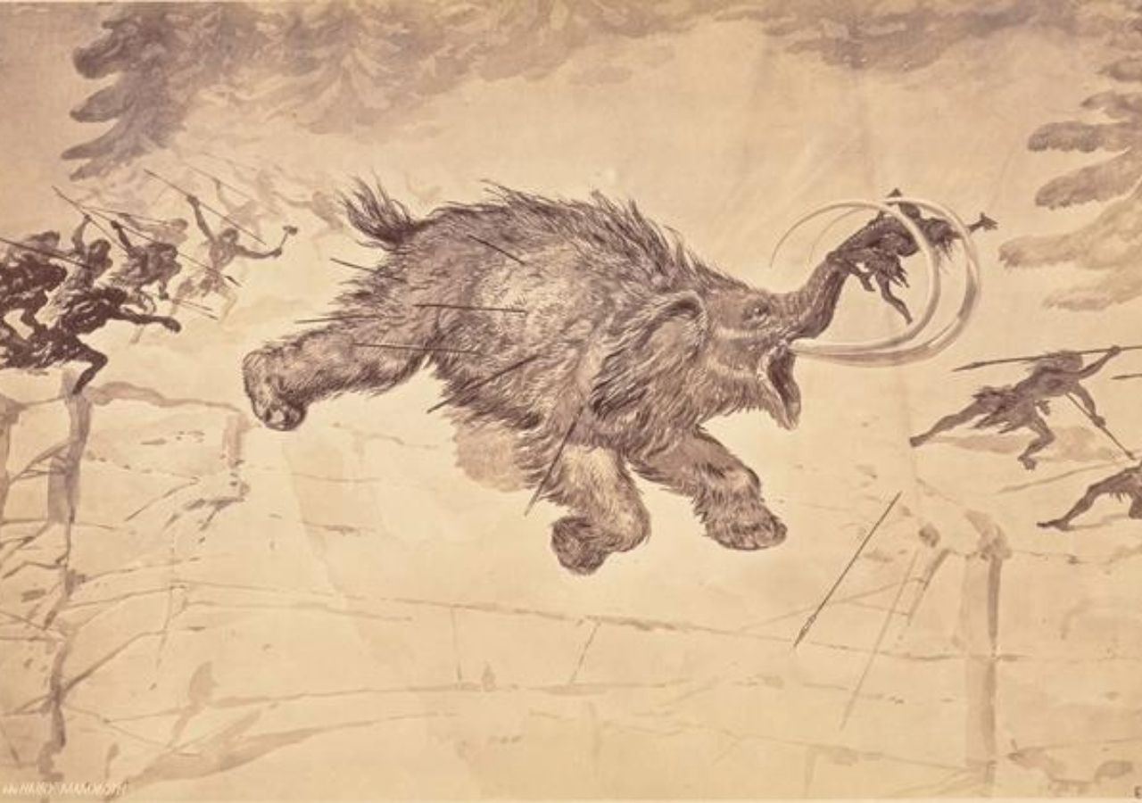 Were humans the reason that the megafauna went extinct?