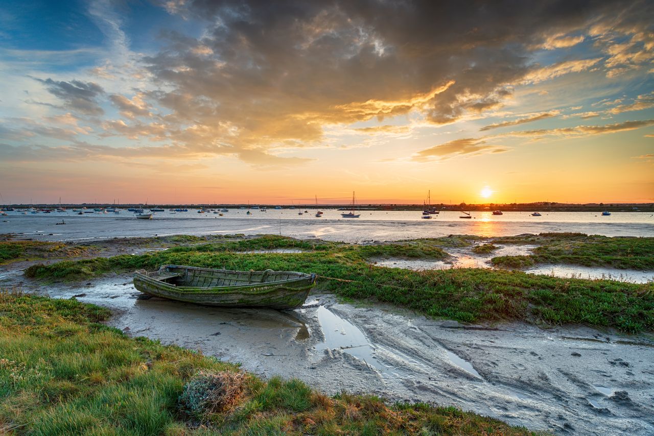 What are saltmarshes and why do they need protecting?