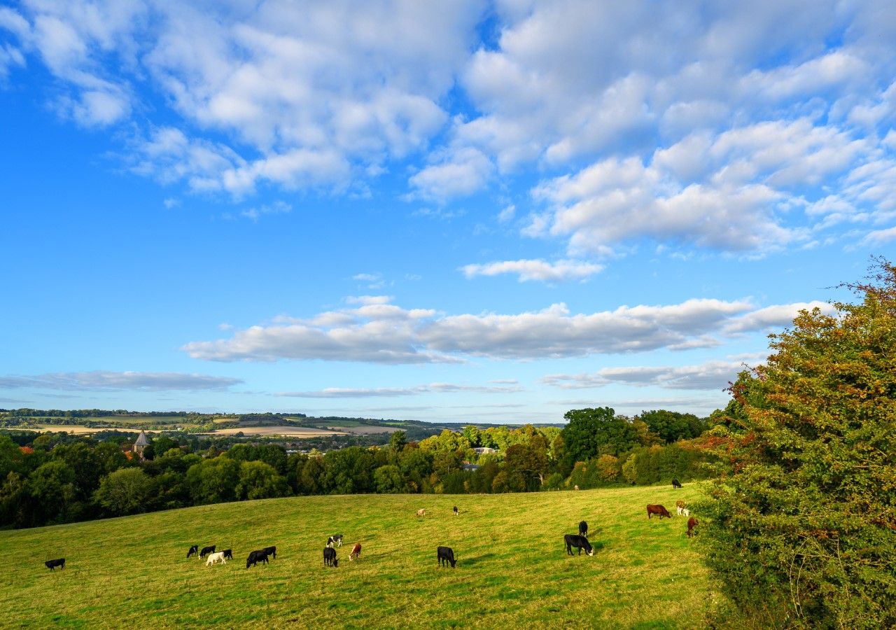 What is the location of England’s latest national nature reserve?