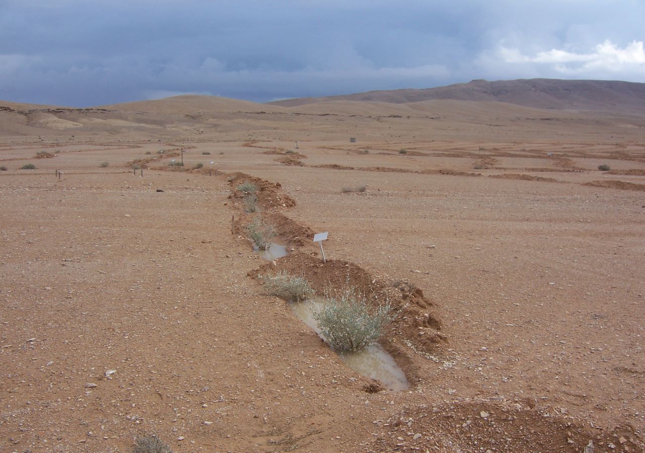 Where Can Water Be Found As Traditional Sources Run Dry where-can-water-be-found-as-traditional-sources-run-dry