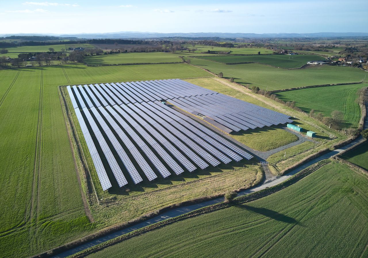 Why are bats less active at solar farms?