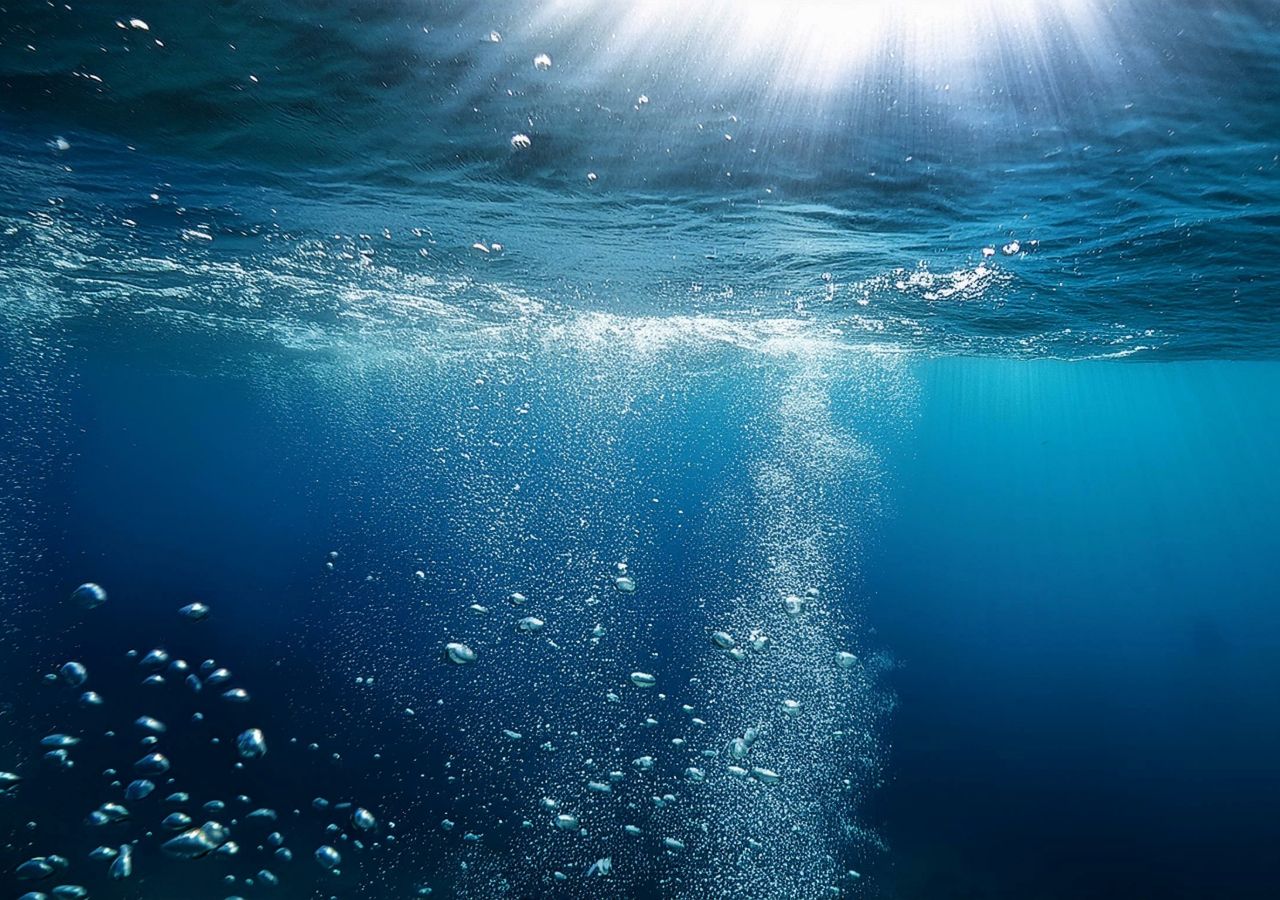 Why did the world’s ocean absorb less carbon dioxide in 2023?