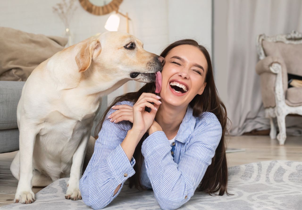 Why do dogs lick people? The surprising reasons behind this behavior