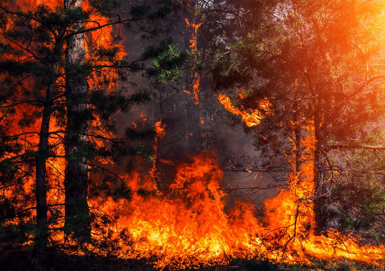 Wildfires found to increase during periods of historic abrupt climate ...