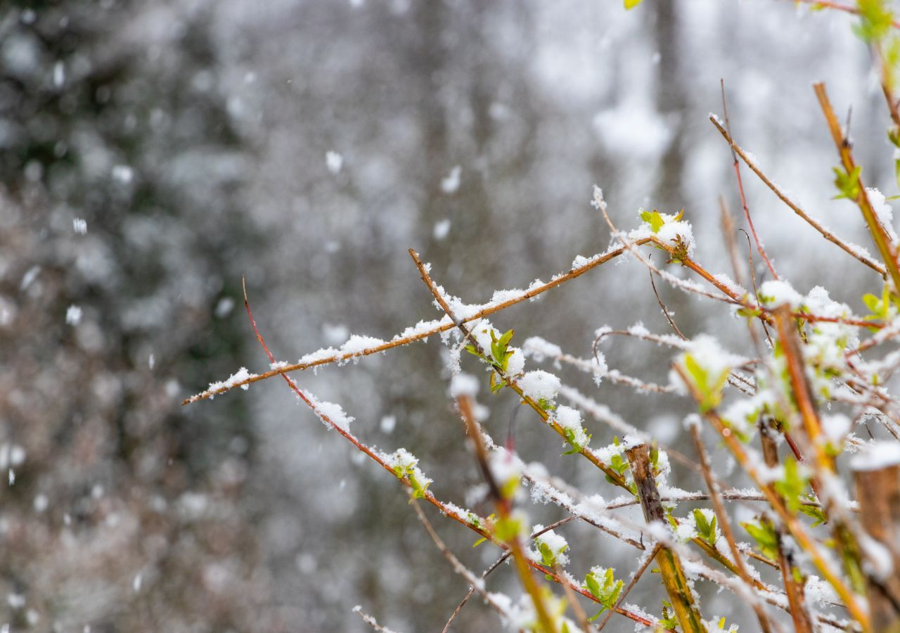 Kaltlufttropfen nähert sich Deutschland! Bringt er uns Schnee und Frost?