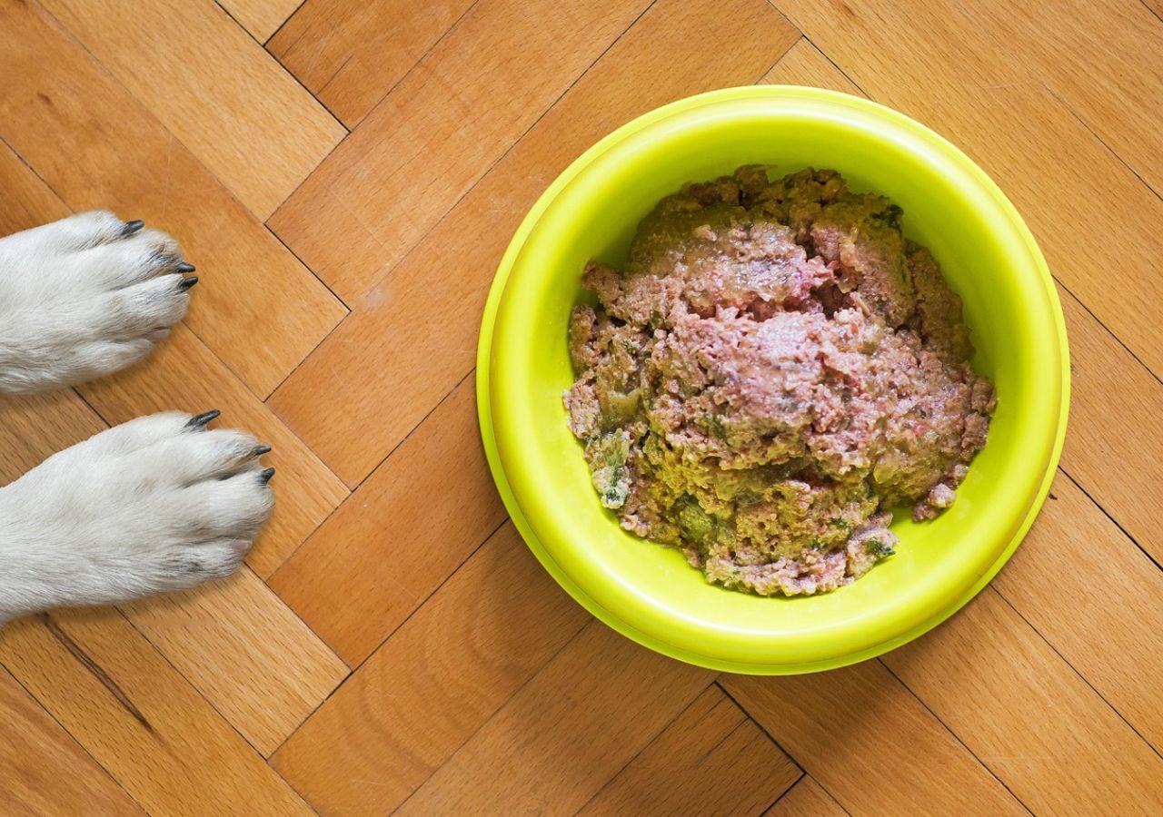Your dog's food is more damaging to the environment than your meal ...